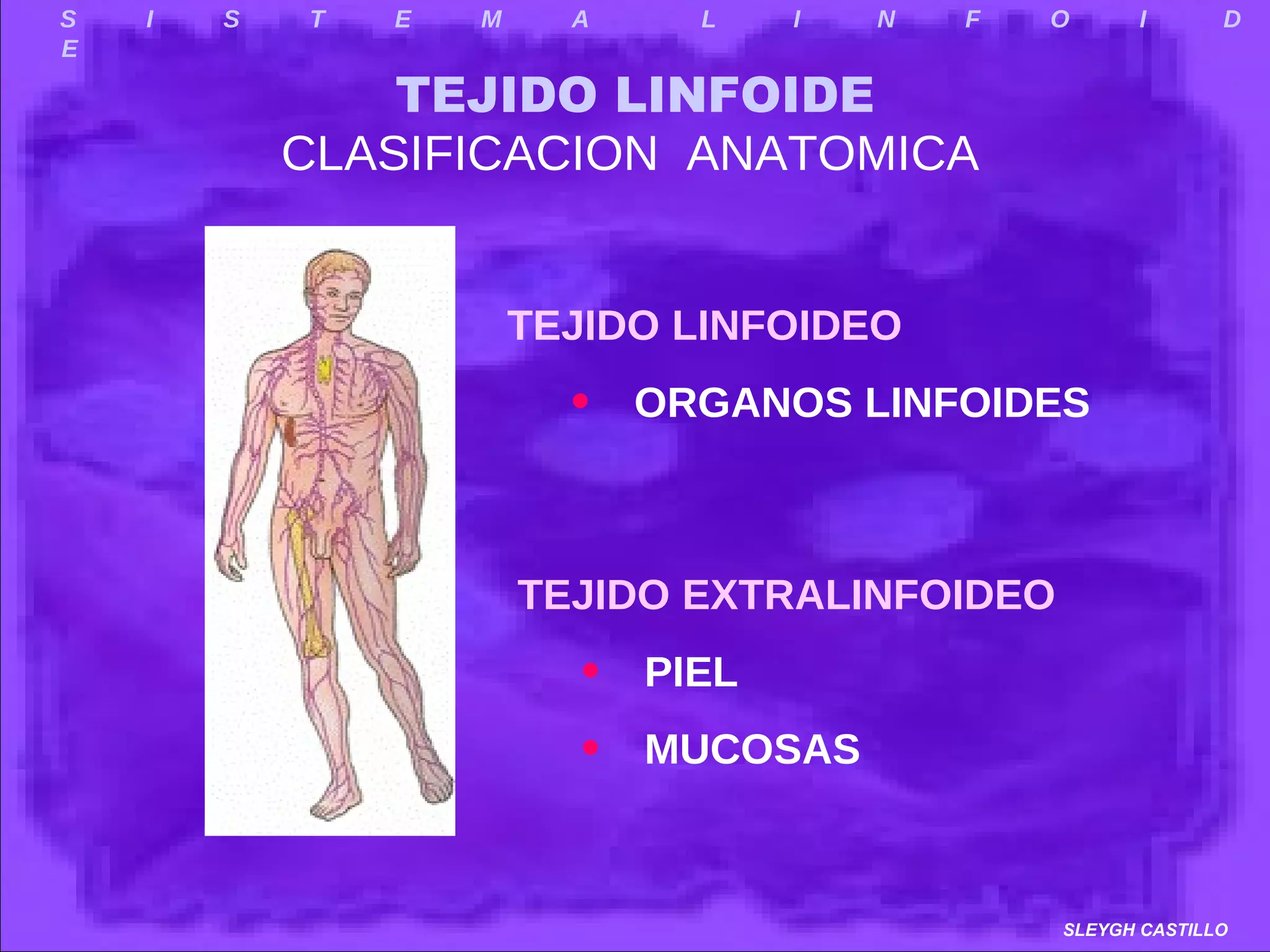 Sistema Linfoide Ucv 2006 | PPT | Blood Disorders | Diseases and Conditions
