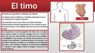 Sistema linfático (Esaú Sánchez) | PPTX