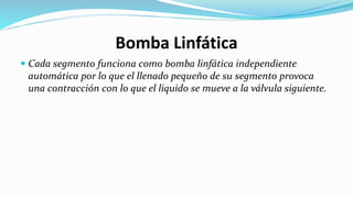 Sistema linfático | PPTX