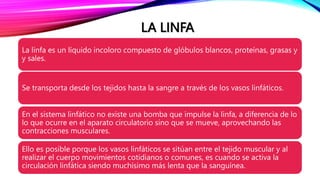 SISTEMA LINFÁTICO.pptx
