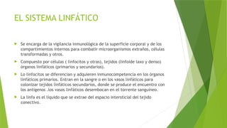 Apunte completo sobre el sistema linfático. Medicina | PPTX