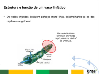 999999999999999999sistema linfático.pptx