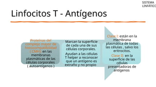SISTEMA LINFÁTICO 2 y sus partes y funcion | PPTX