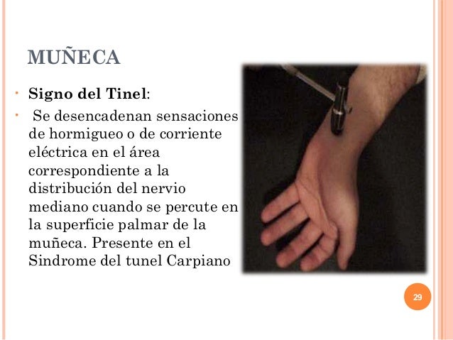 Sistema locomotor- Semiologia