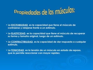Sistema locomotor oseo y muscular | PPT