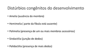 Sistema locomotor 2023.pptx