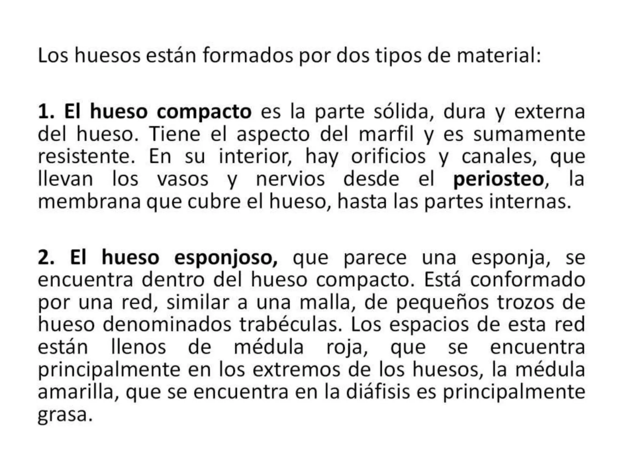 Sistema locomotor humano | PPT
