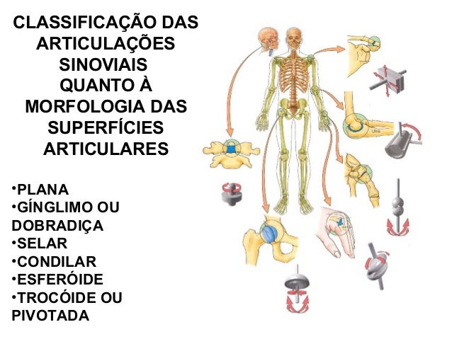 Anatomia Geral