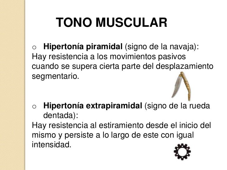 Via piramidal y extrapiramidal