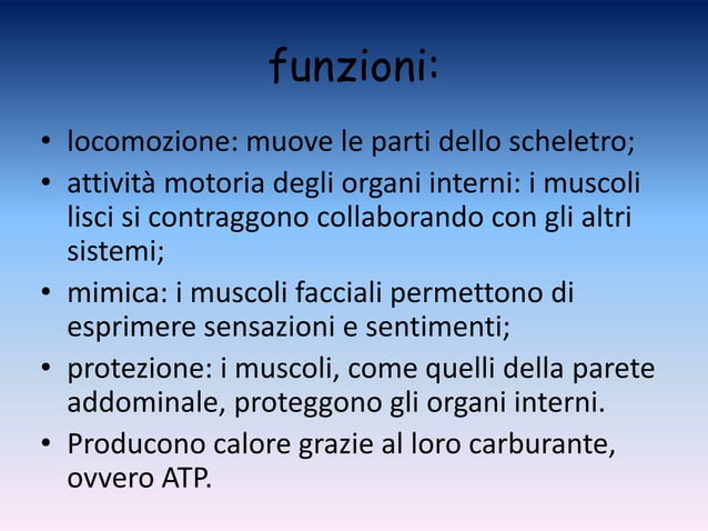 SISTEMA MUSCOLARE Testa Angela e Valeria Scoppa 2c.pptx