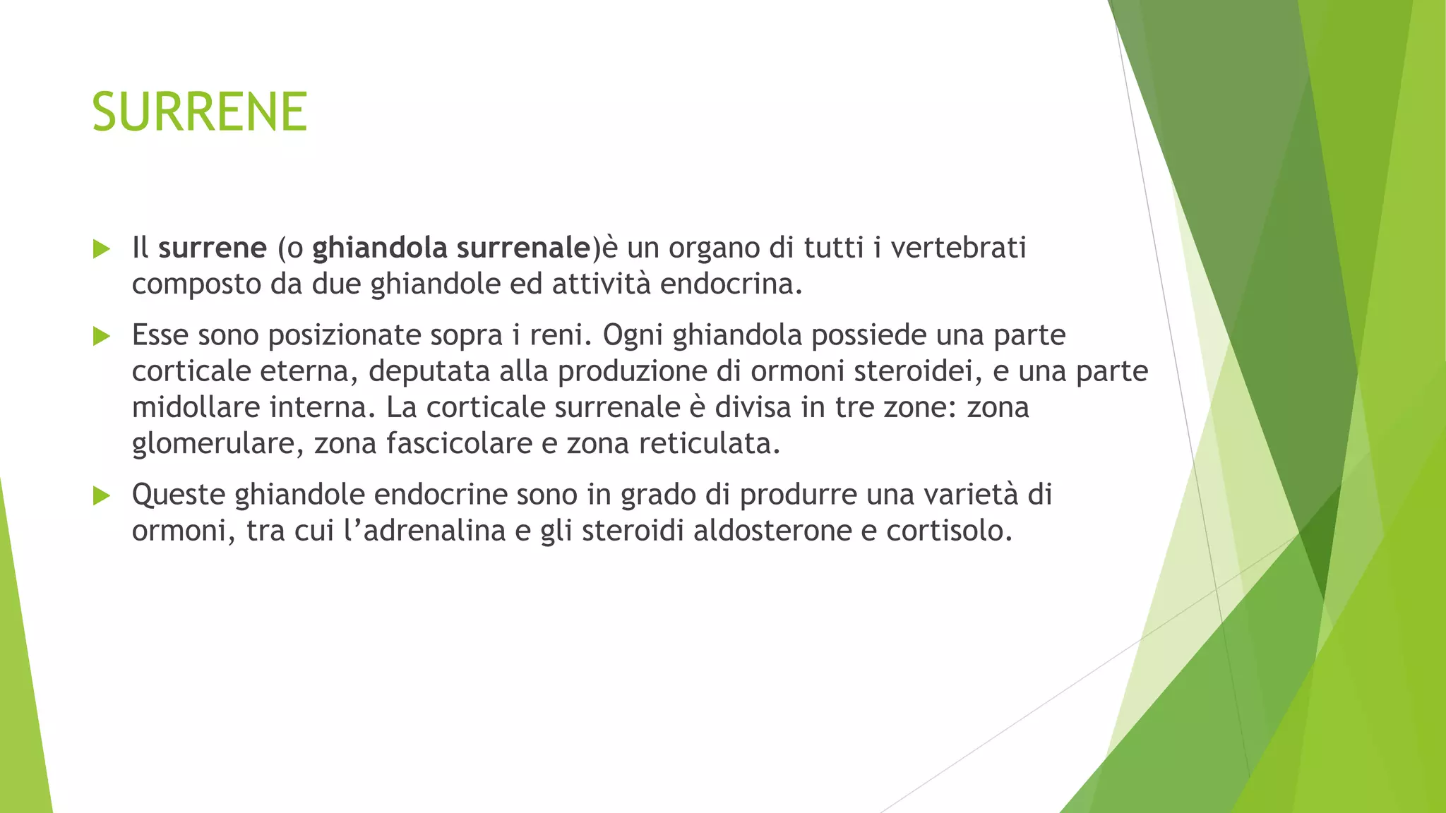Sistema muscolare ed endocrino | PPTX