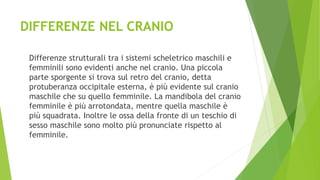 Sistema muscolare ed endocrino | PPT