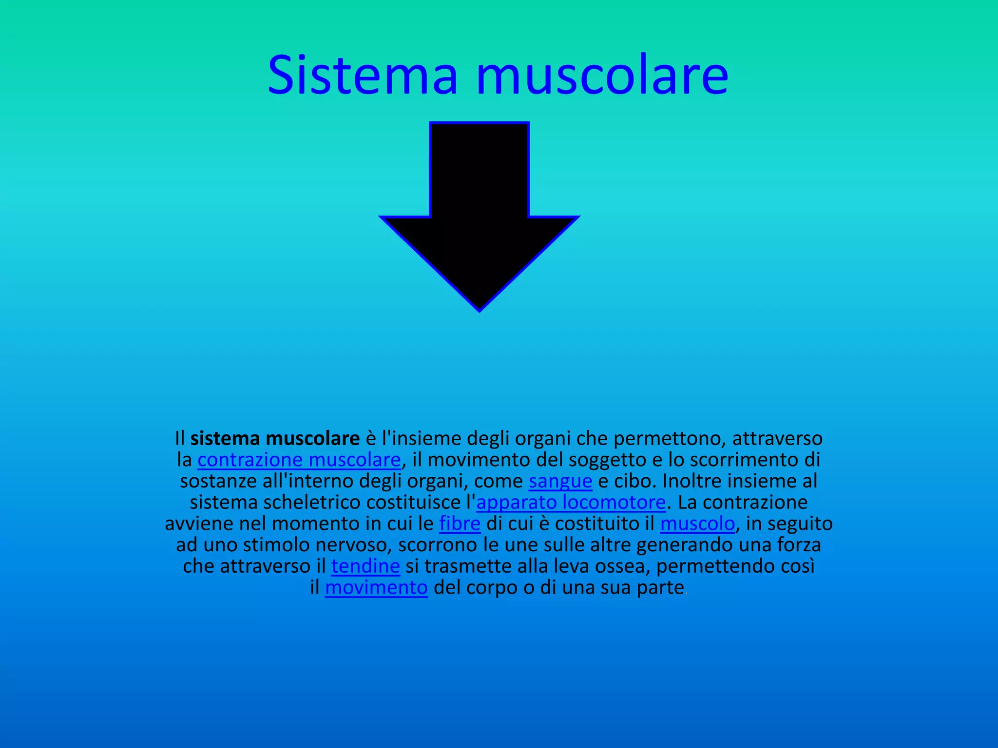 Sistema muscolare Rotta Vuttariello.pptx