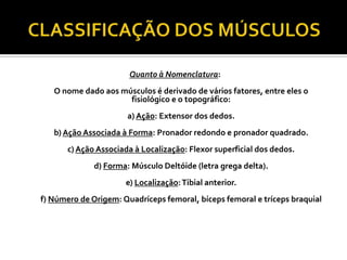 Sistema muscular | PPTX