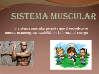 Sistema muscular | PPT