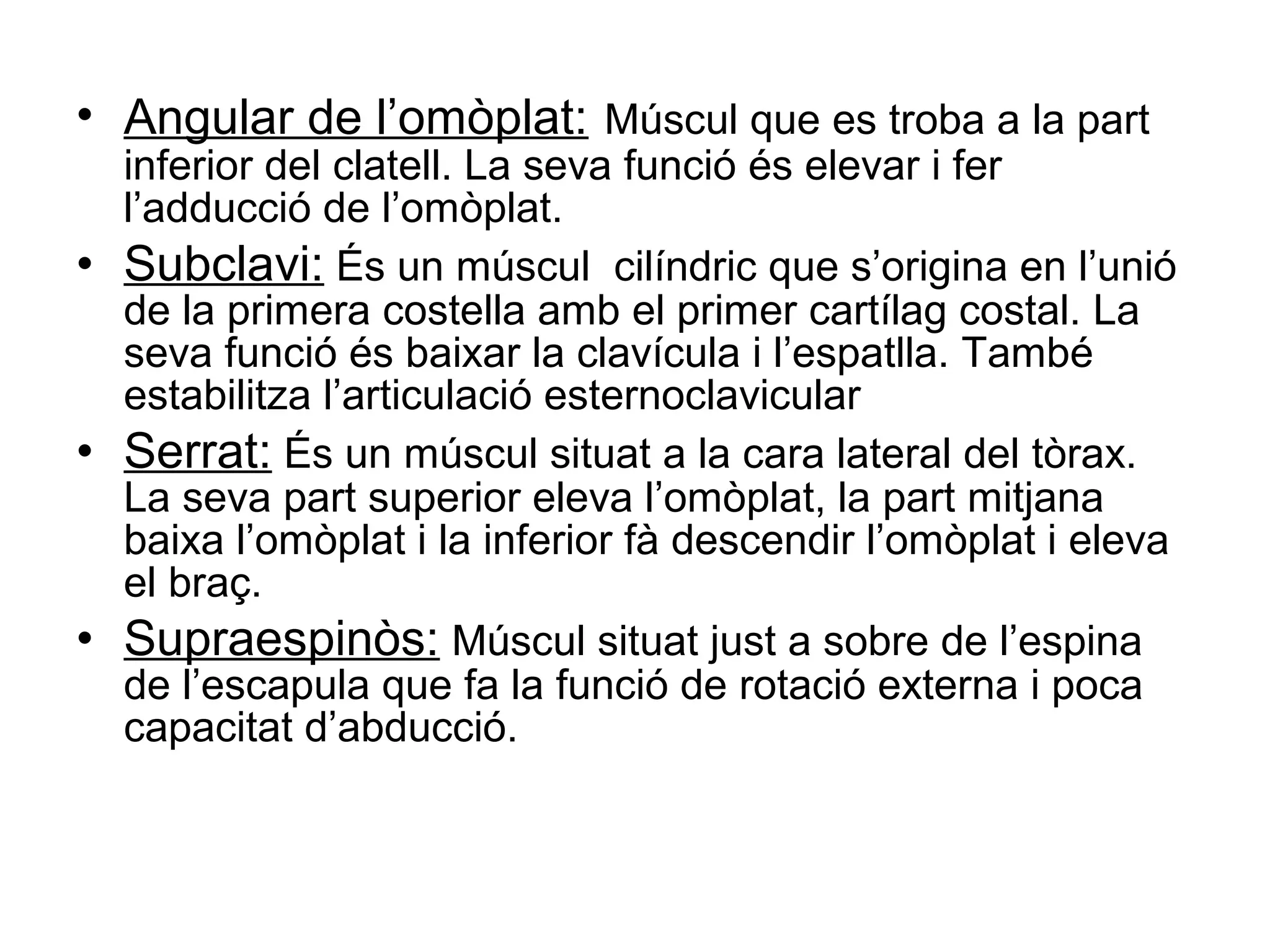 Sistema muscular | PPT