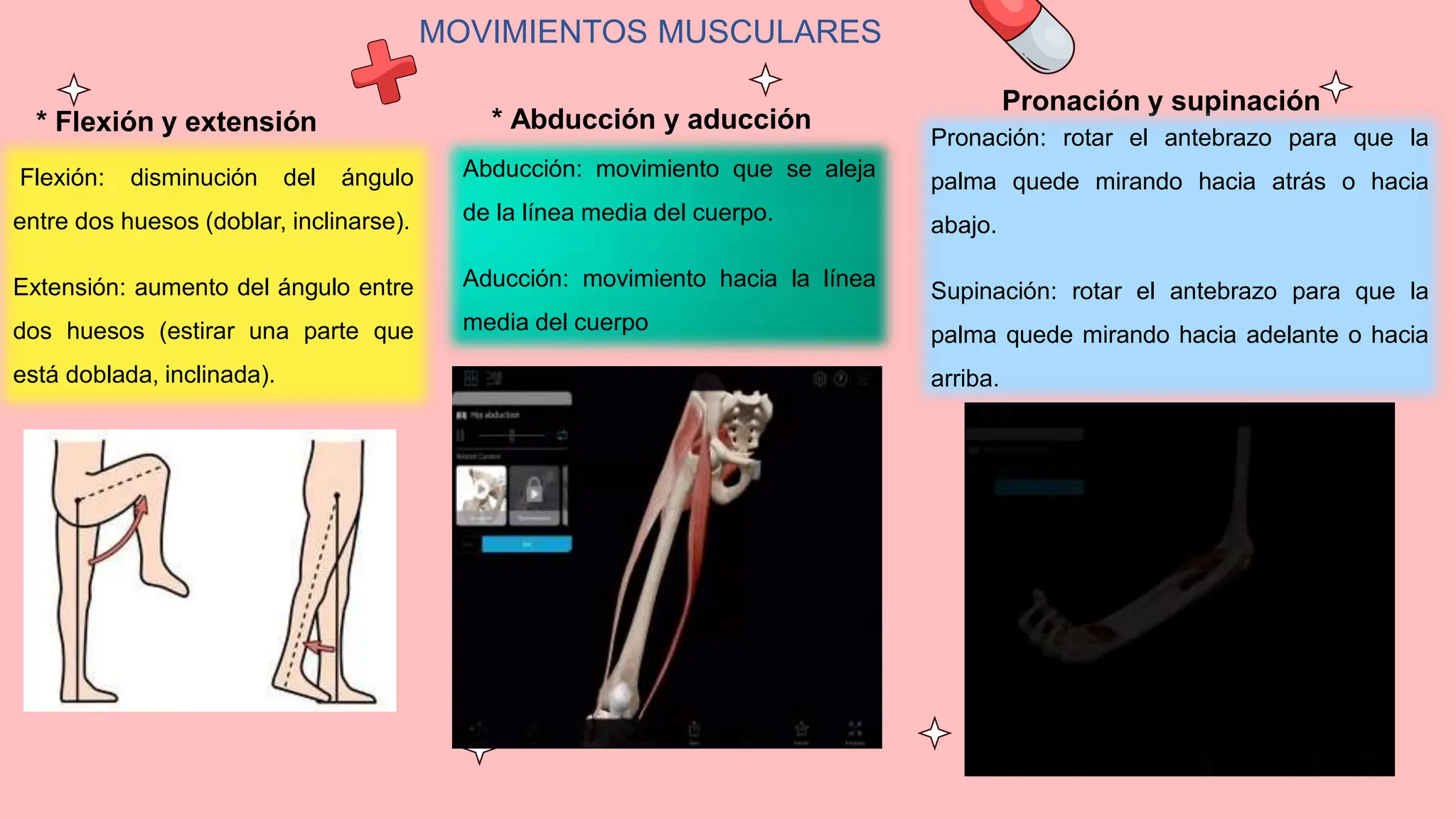SISTEMA MUSCULAR MUSCULAR SYSTEM ALL THE | PPTX