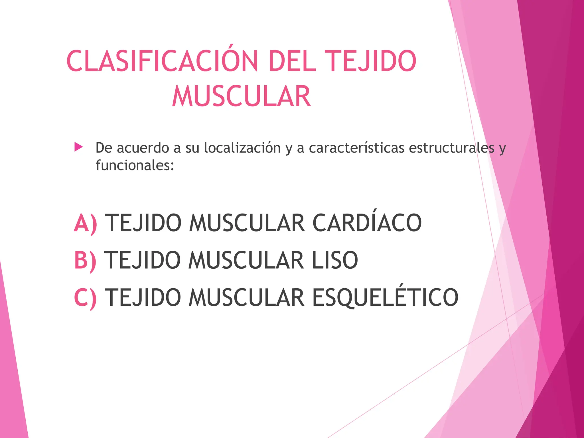 SISTEMA MUSCULAR.Características , formas de los músculos,tejido ...