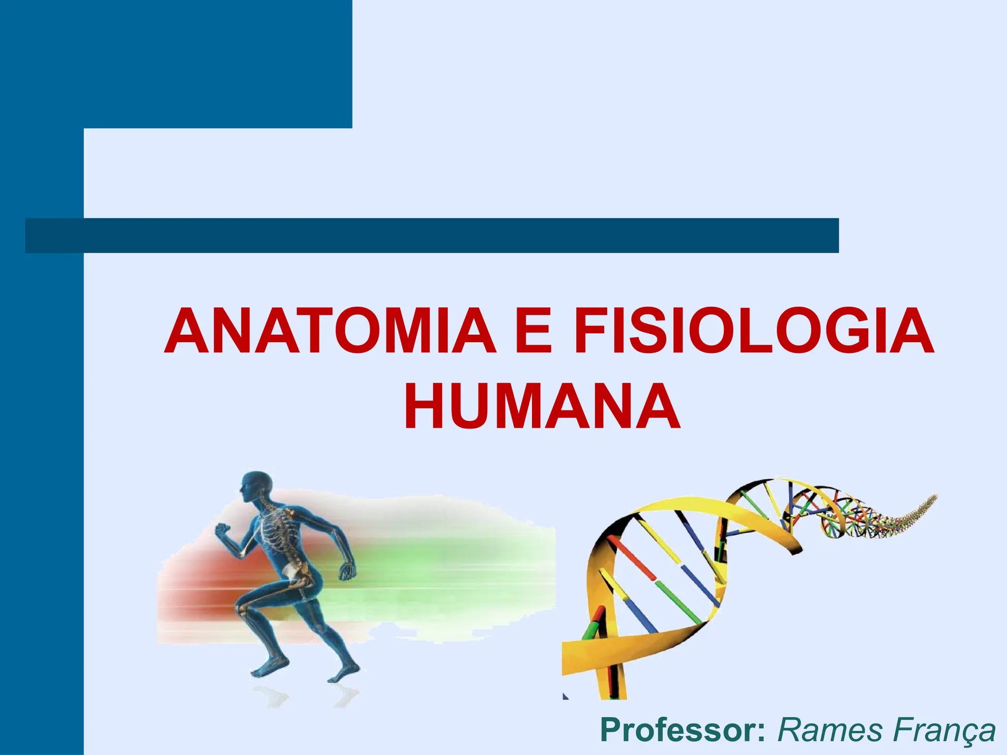 Aula de Anatonia do Sistema Muscular ppt | PPTX