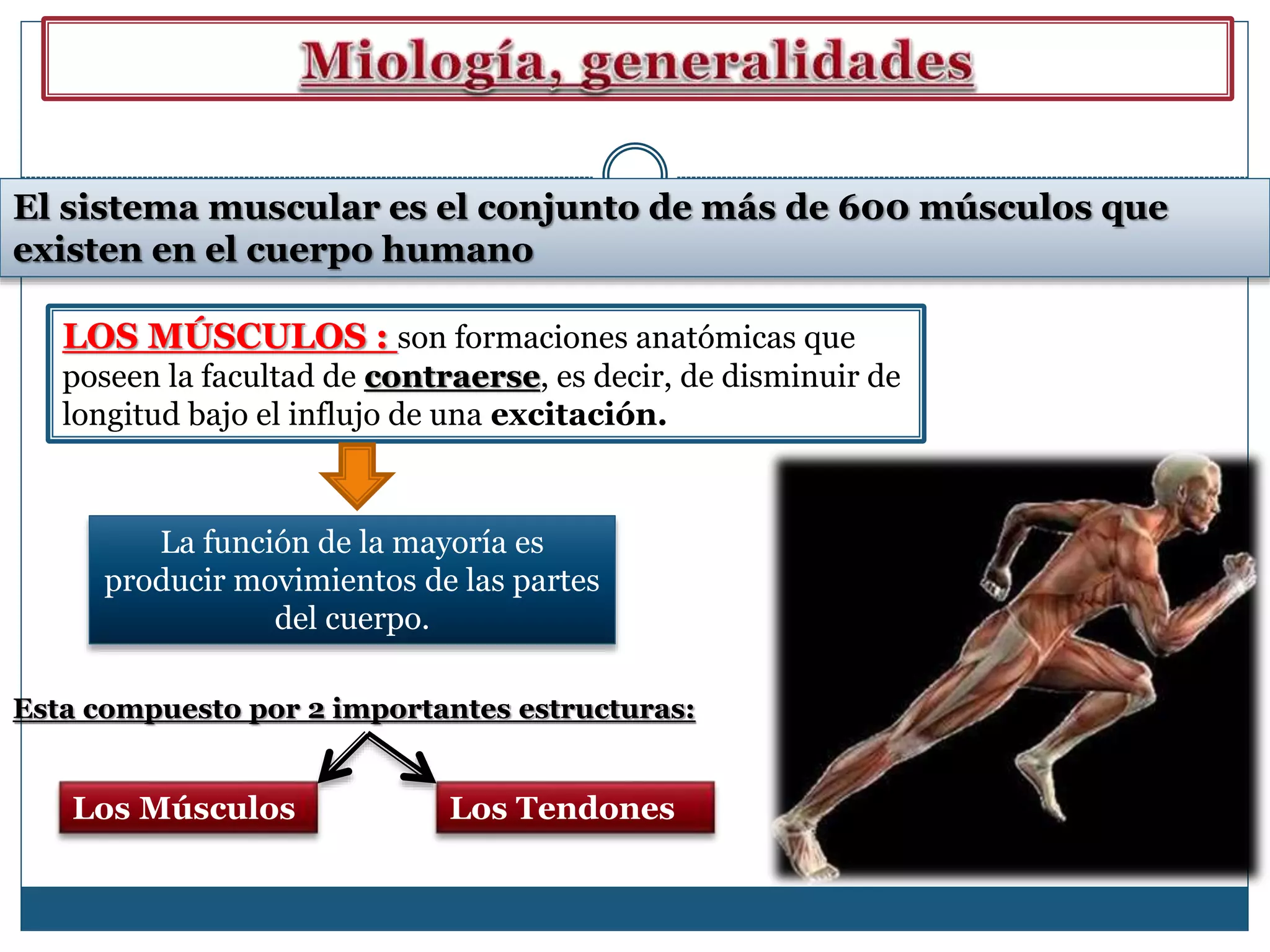 SISTEMA MUSCULAR clase 3.pptx