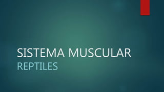 Sistema muscular reptiles | PPTX