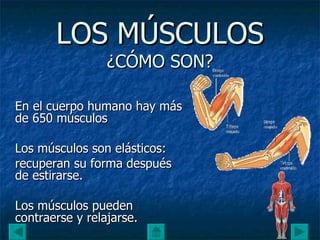 Educación Física | PPT