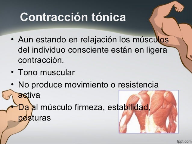 Sistema Musculoesquelético