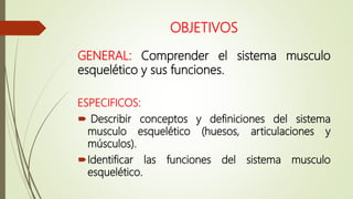 Sistema musculoesqueletico | PPTX