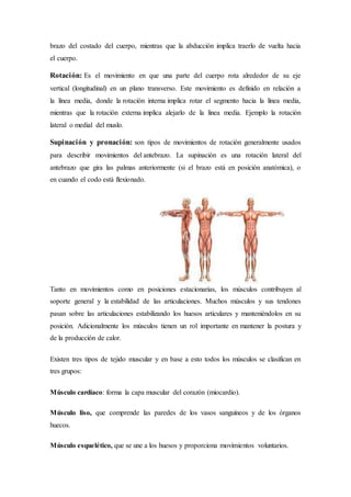Sistema musculoesquelético (1) | DOCX