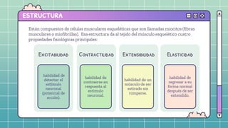 Sistema Musculo Esquéletico.pdf