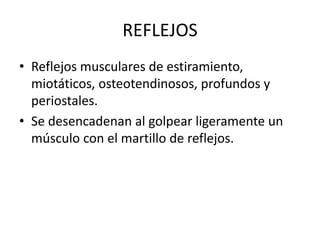Sistema nervioso | PPTX