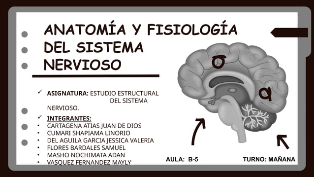 SISTEMA NERVIOSO..pptx.................. | PPTX