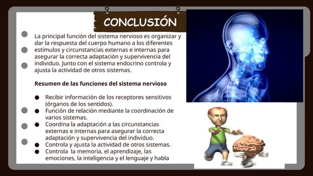 SISTEMA NERVIOSO..pptx.................. | PPTX