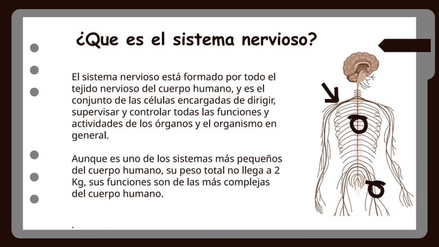 SISTEMA NERVIOSO..pptx.................. | PPTX