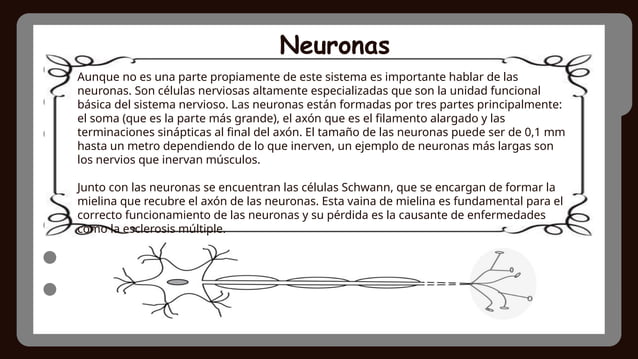 SISTEMA NERVIOSO..pptx.................. | PPTX