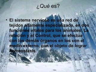 Sistema Nervioso Brian Quiroz, Sergio Bianchi, Santiago Cortes | PPT
