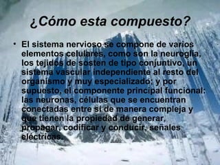 Sistema Nervioso Brian Quiroz, Sergio Bianchi, Santiago Cortes | PPT