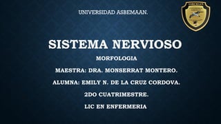 SISTEMA NERVIOSO GENERALIDADES MORFOLOGIA.PPTX