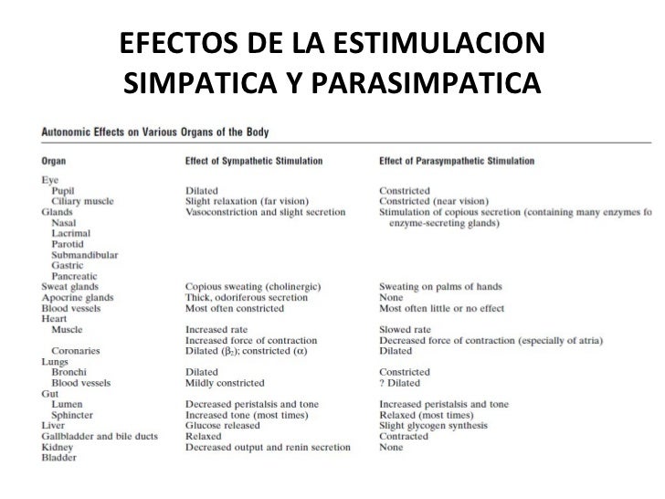 Sistema nervioso autonomo