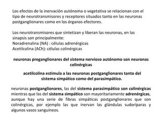 Sistema nervioso autonomo | PPT