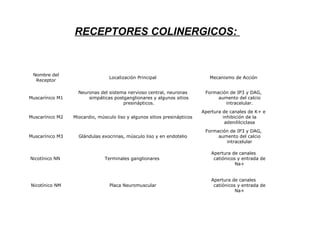 Sistema nervioso autonomo | PPT