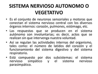 Sistema nervioso autonomo | PPTX