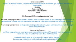 SISTEMA_NERVIOSO_AUTONOMO.pptx presentacion | PPTX