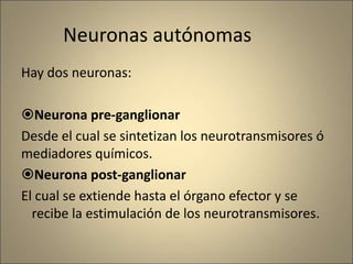 SISTEMA NERVIOSO AUTONOMO CLASE THAYRON (1)(8).ppt
