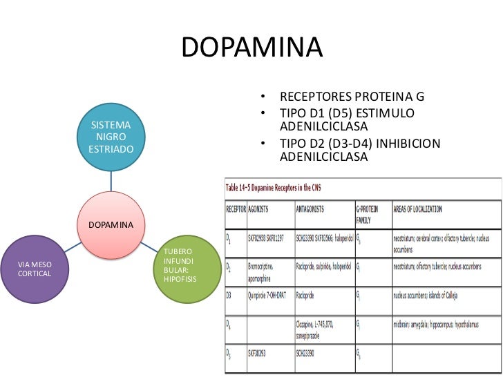 Sistema nervioso central