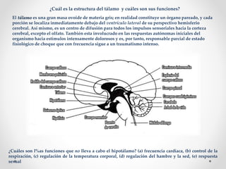 Sistema nervioso central | PPTX