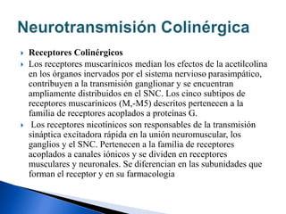 Sistema Nervioso Colinergico... farmacologia del sistema nervioso ...