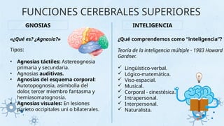 FUNCIONES CEREBRALES SUPERIORES MATERIAL | PPTX