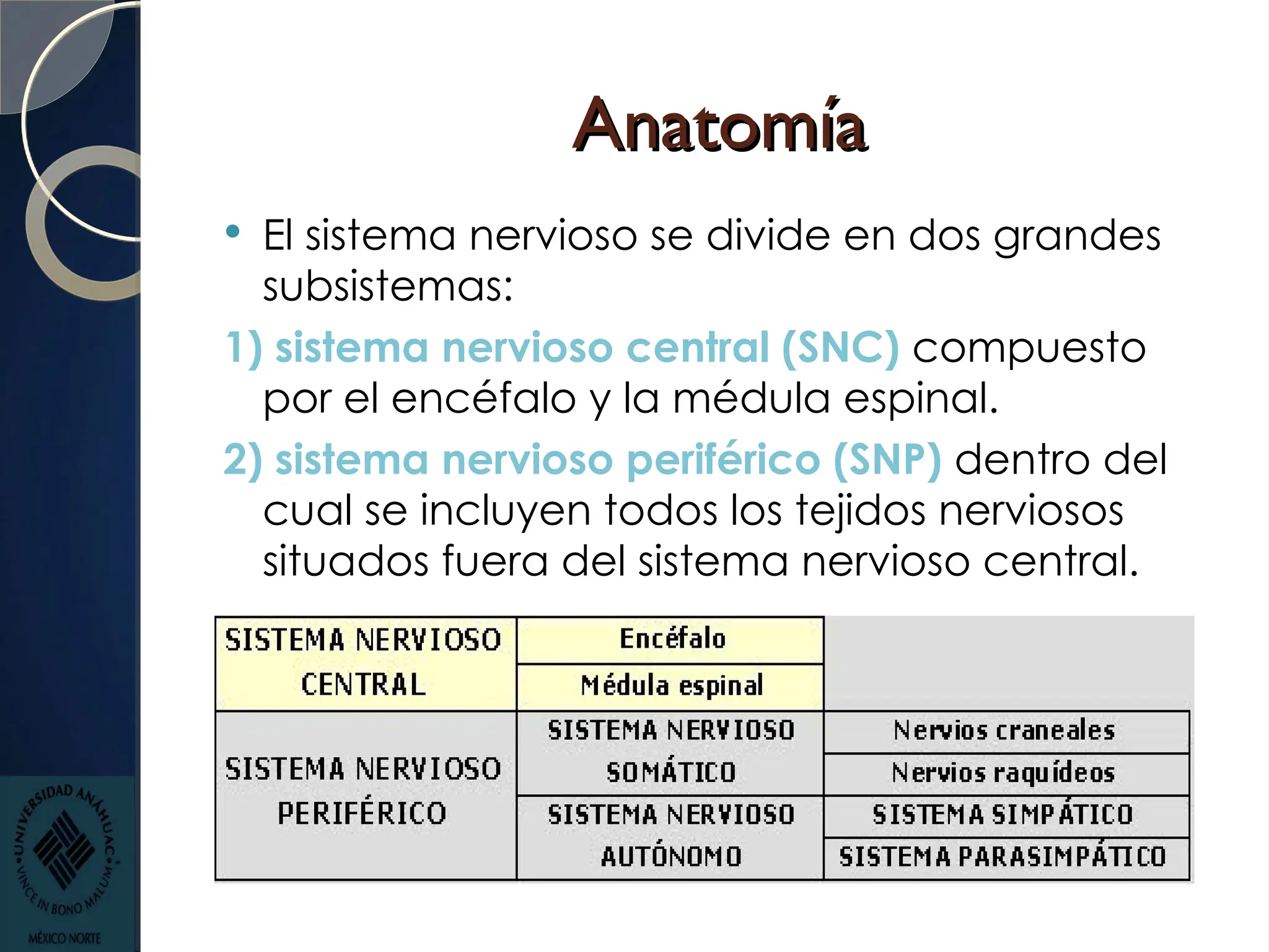 ANATOMIA DEL SISTEMA NERVIOSO PRESENTACION.ppt