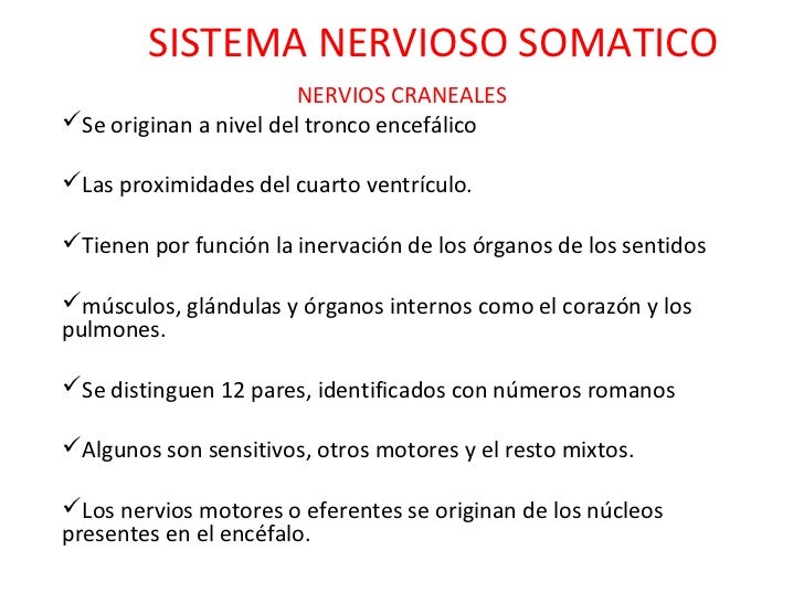 10 Ideas De Sistema Nervioso Sistema Nervioso Nervioso Sistemas Del